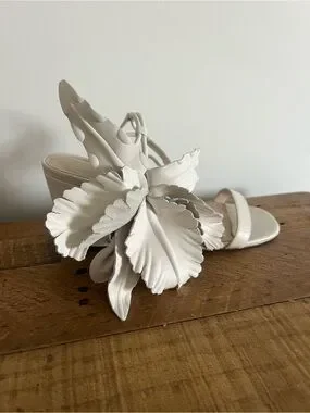 CECELIA NEW YORK | Shoes | Cecelia New York Sandals | Poshmark